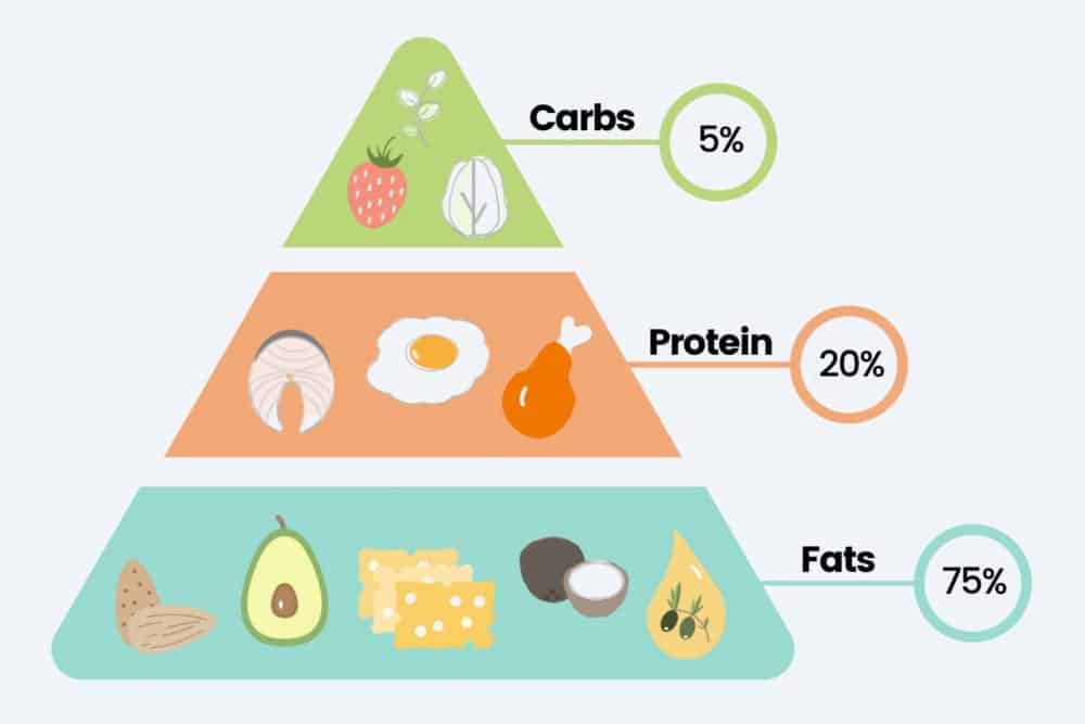 19-Day Keto Diet Plan For Beginners With Recipes & Meal Plan